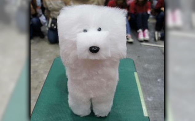 Square-Faced Dogs Are Now A Thing In Taiwan