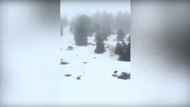 Is This Yeti Video Real Or Fake?