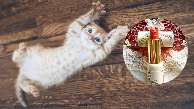 This cat-themed make up line is ADORABLE!