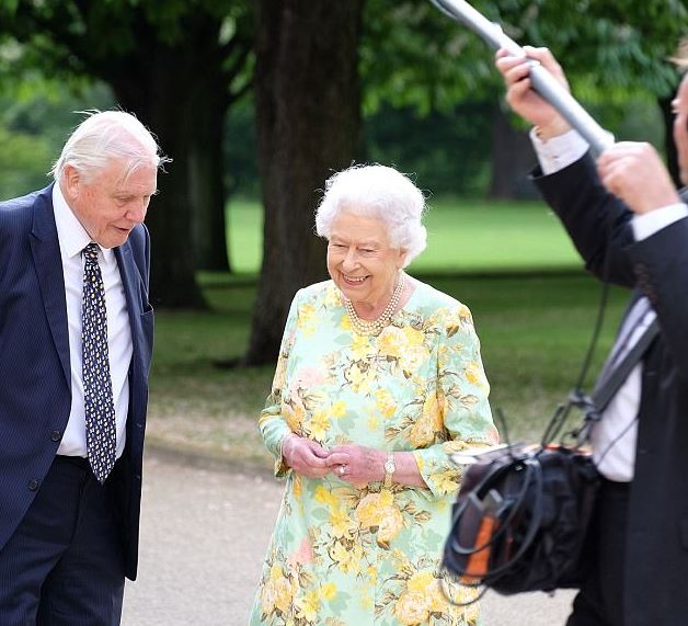 David & The Queen's project